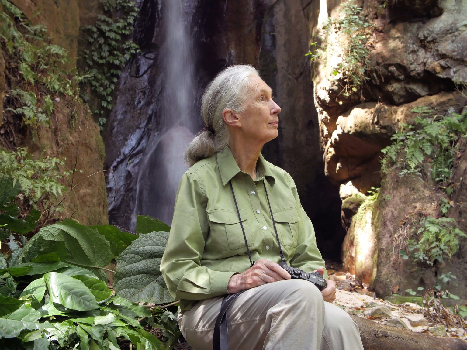 Growing a Greener Tomorrow: Jane Goodall on Her Hope for Humanity ...