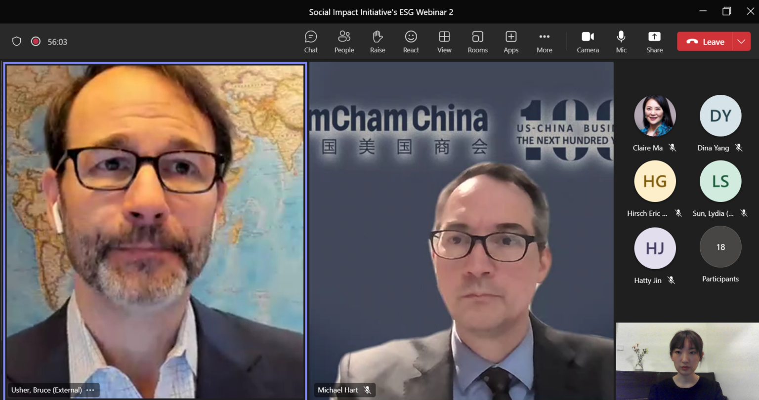 The Path to Sustainable Development: Insights from Recent ESG and ...