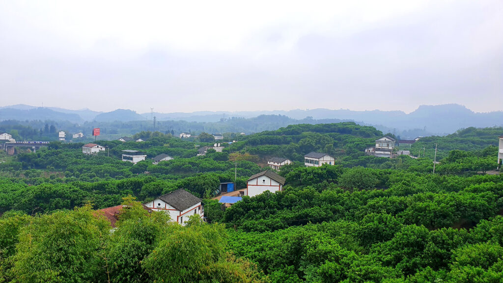 Rural Revitalization Events: Transforming Lives and Communities ...