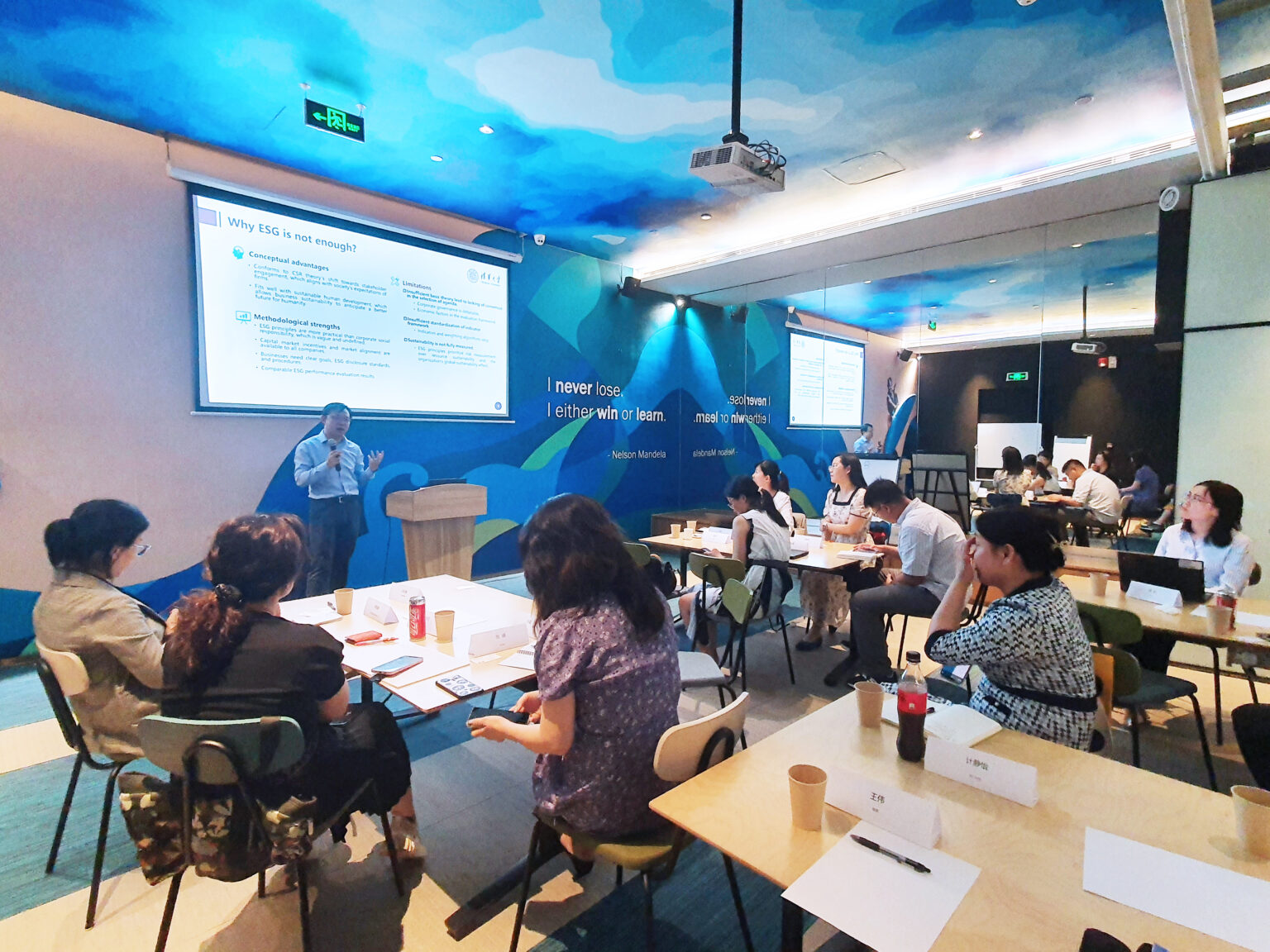 The Path to Sustainable Development: Insights from Recent ESG and ...