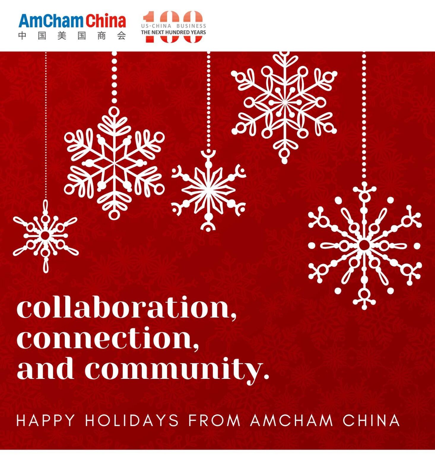 Year In Review – Celebrating the ABCs of AmCham China in 2023 – AmCham ...