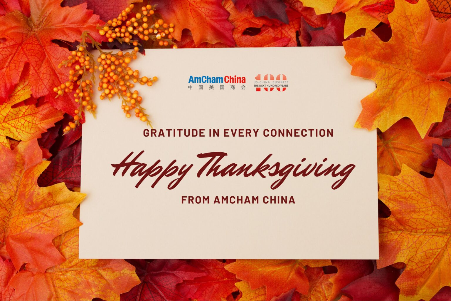 Celebrate the Season with AmCham China – AmCham China